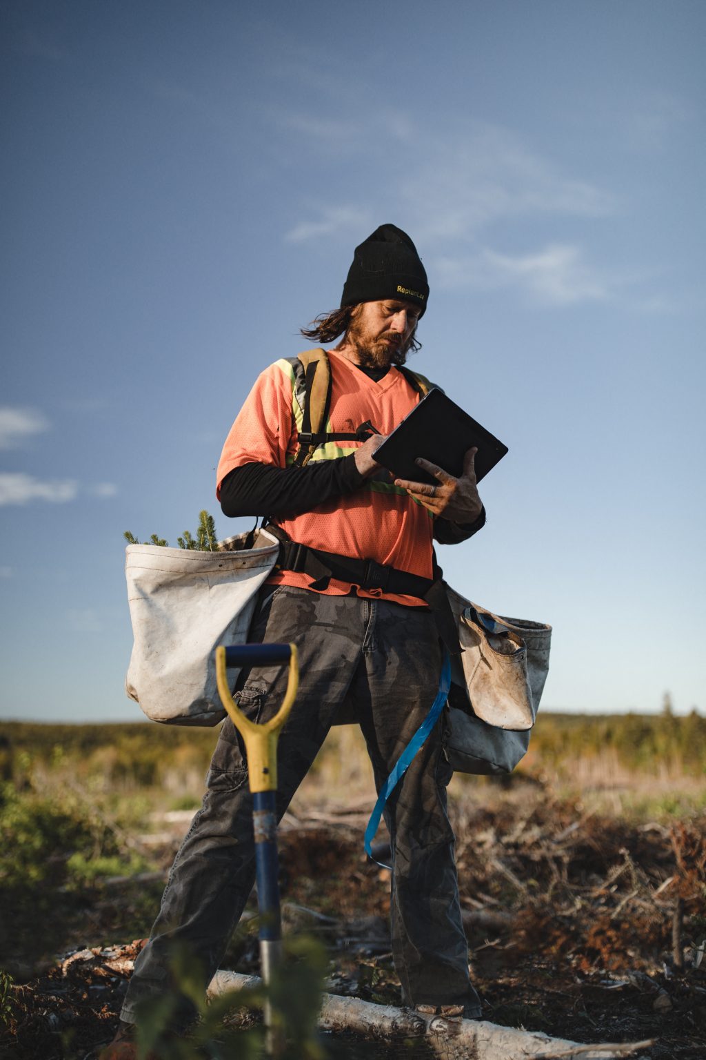 Samsung to Plant Millions of Trees to Fight Climate Change