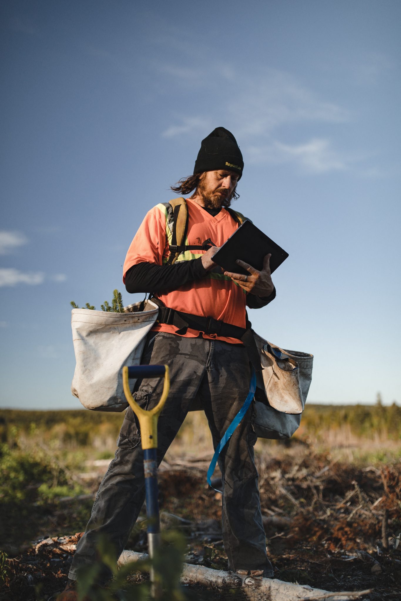 Samsung to Plant Millions of Trees to Fight Climate Change