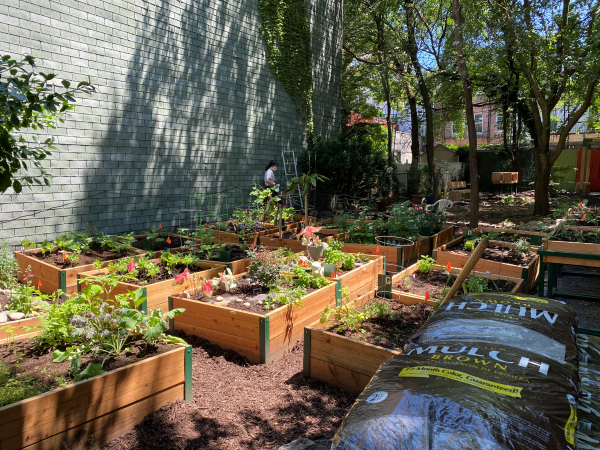 Partners in Sustainability: GrowNYC – the National Volunteer Week Edition