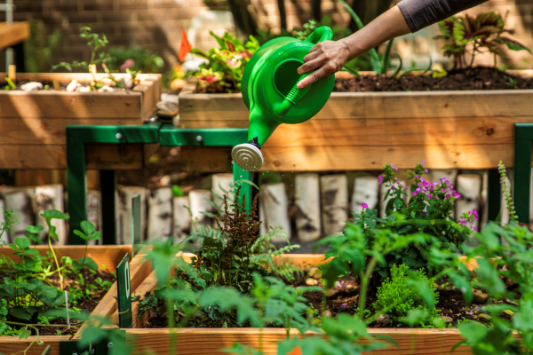 Partners in Sustainability: GrowNYC – the National Volunteer Week ...