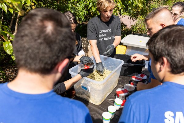Samsung Day of Service: Employees Join Forces with City Green ...