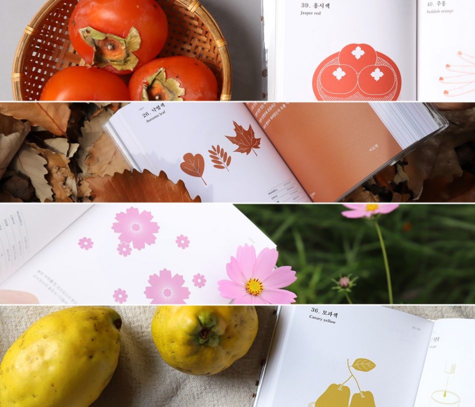 How OIMU Studio Infuses Colors and Emotions Into Modern Design