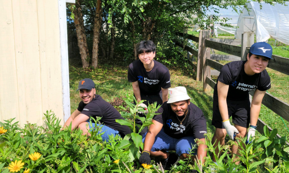 Samsung Interns Rally to Support Community Nonprofits during Day of Service